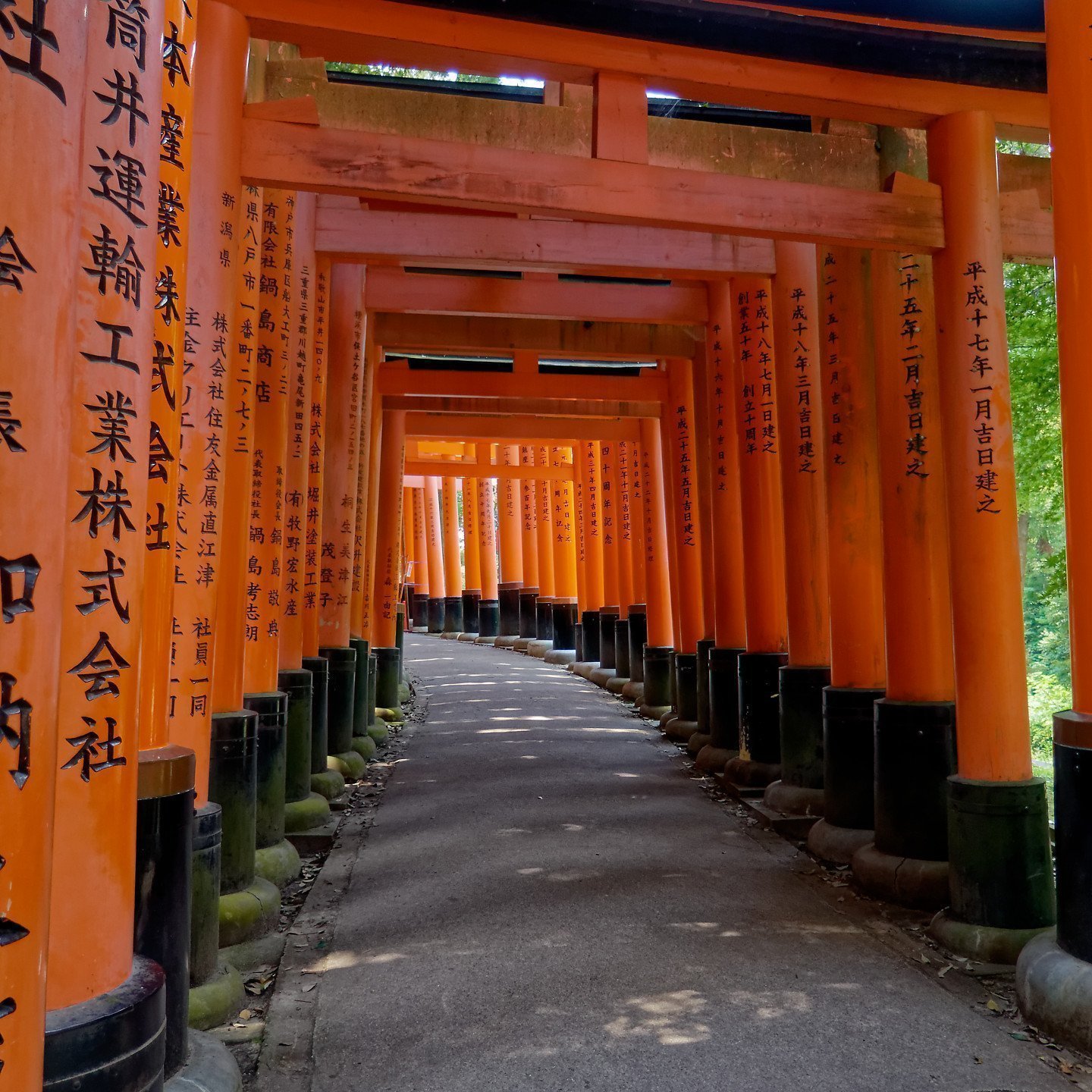 Entre los torii de Fushimi Inari.