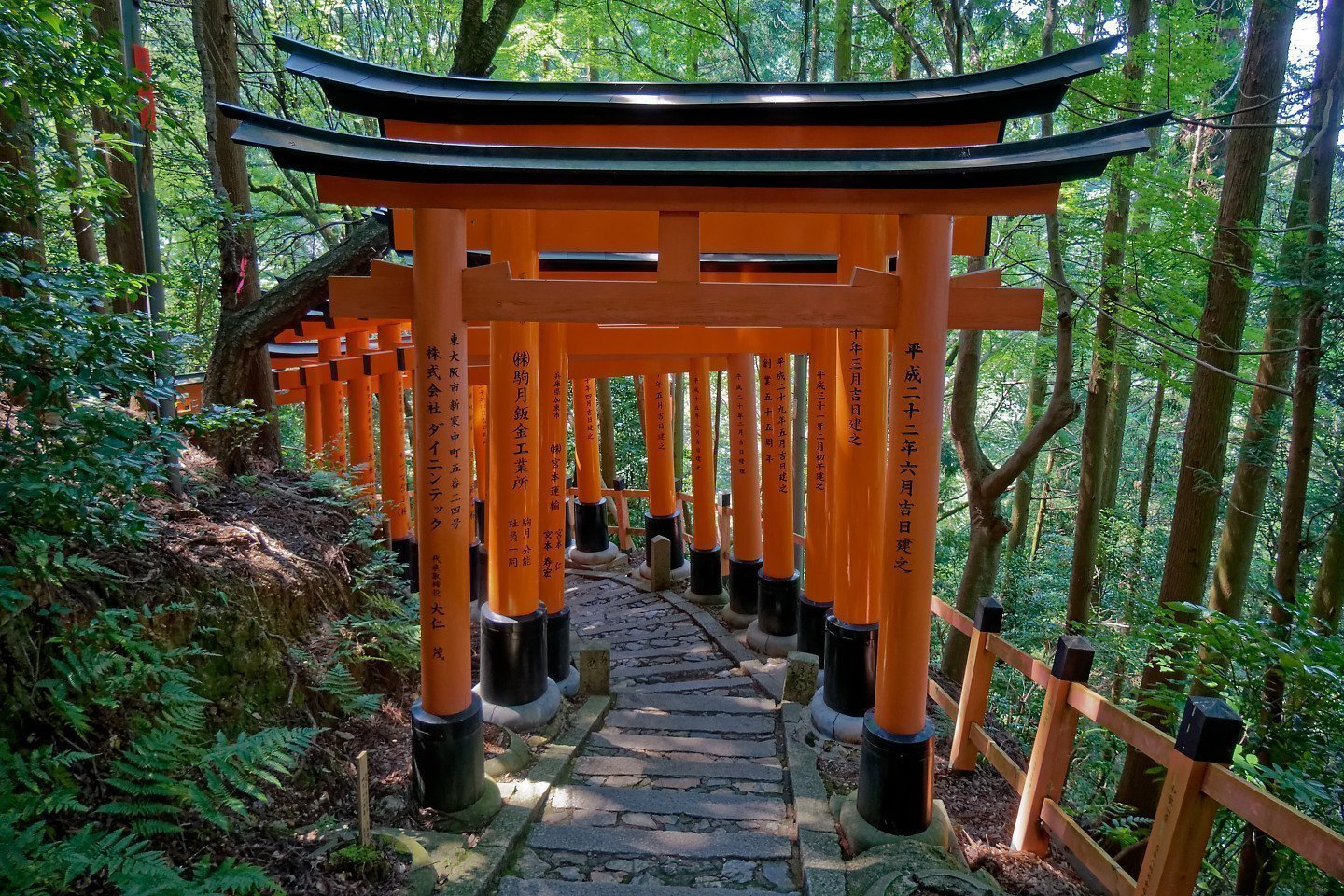 Entre los torii de Fushimi Inari.